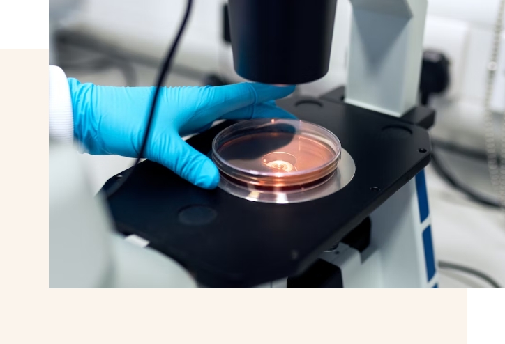 Functional Medicine Services